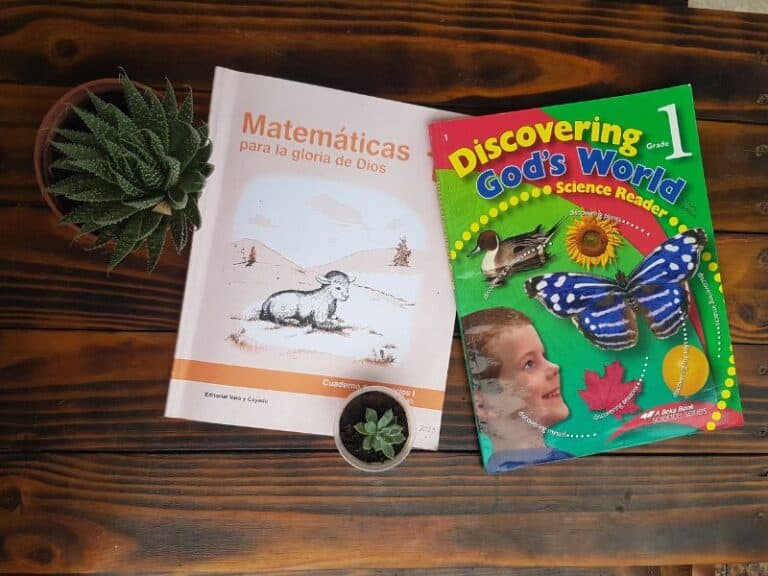 Our First Grade Homeschool Curriculum Choices - Connecting with Littles